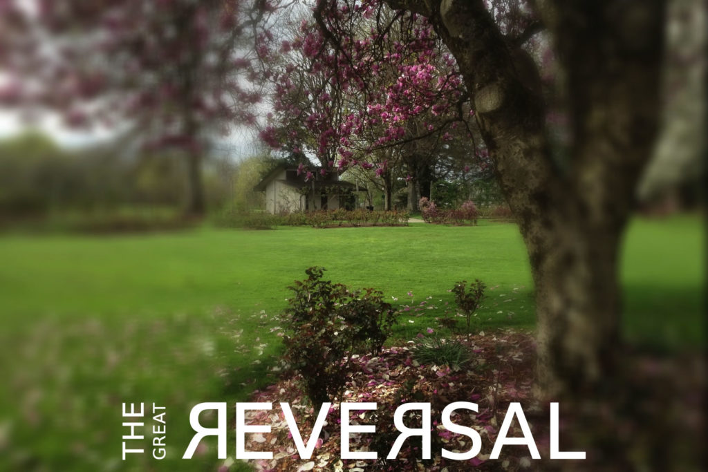 The Great Reversal – Derek Rydall