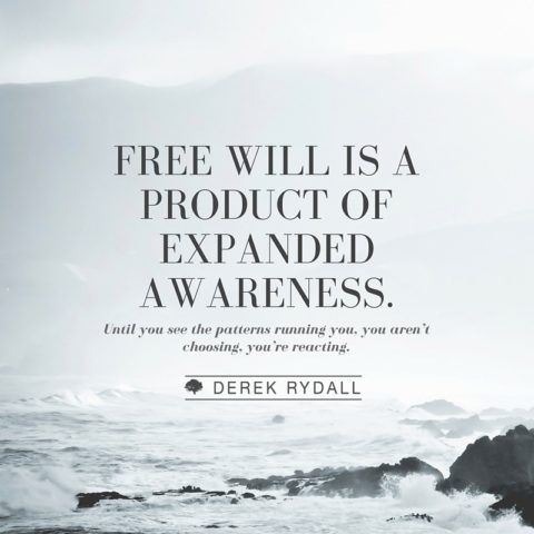 Emergence Archives - Derek Rydall